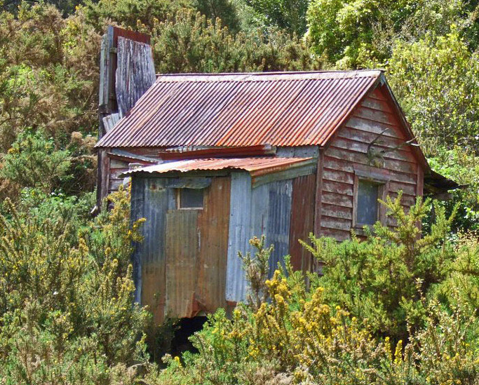 Hut at Hamers Flat, Ahaura River. | West Coast New Zealand History