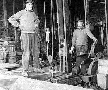 ALBUM - Ross Sawmill.1964. | West Coast New Zealand History
