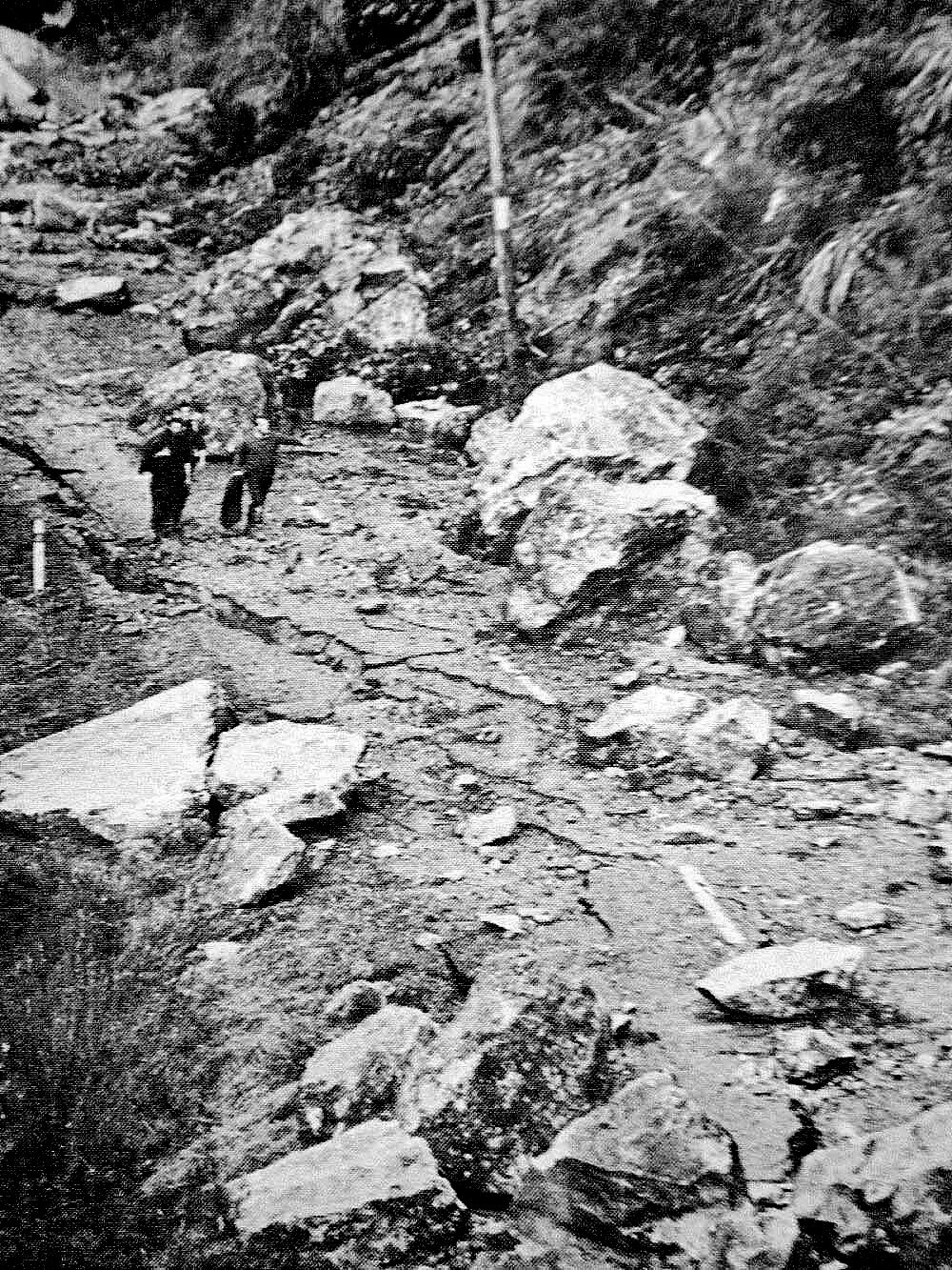 Buller Gorge Highway after the Inangahua earthquake.1968. | West Coast ...
