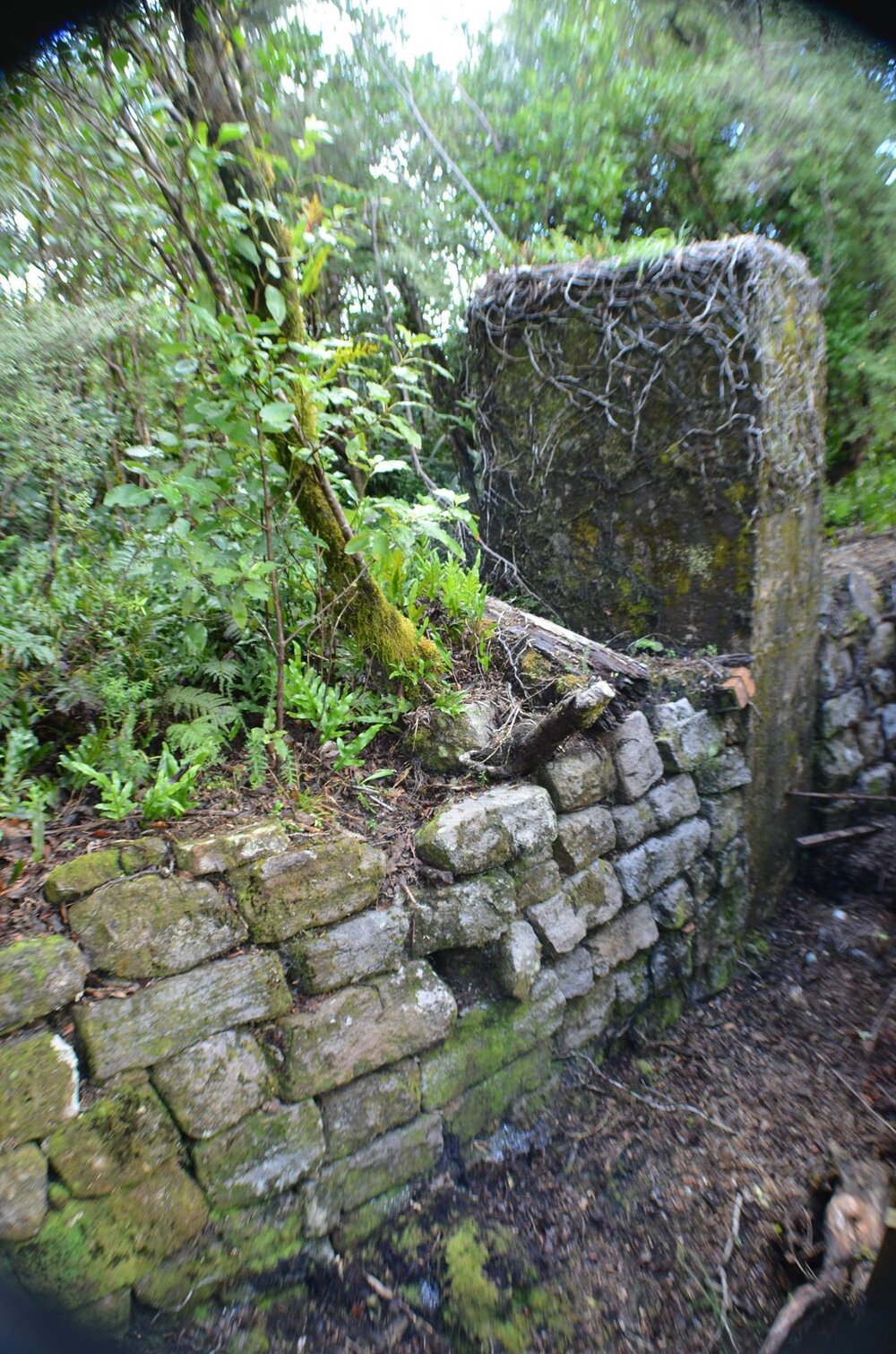 Denniston views.2015 | West Coast New Zealand History