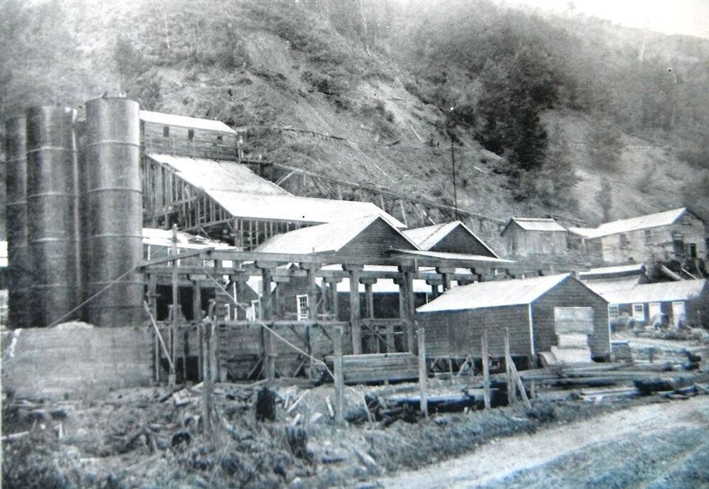 Progress Gold Mine, Reefton. | West Coast New Zealand History