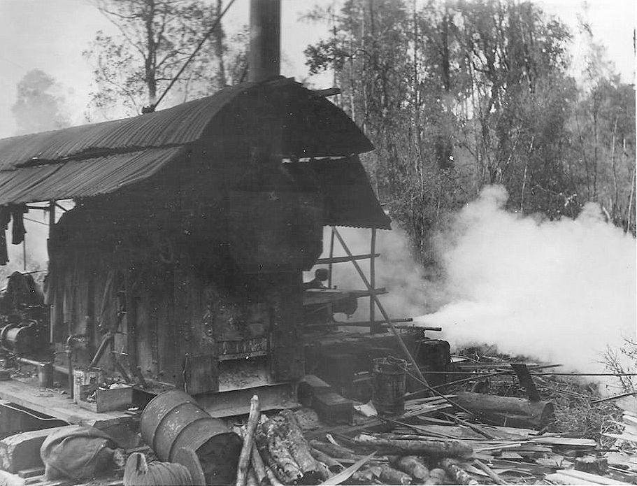 More Ross sawmill photos. Aug 1947. -ALBUM- | West Coast New Zealand ...