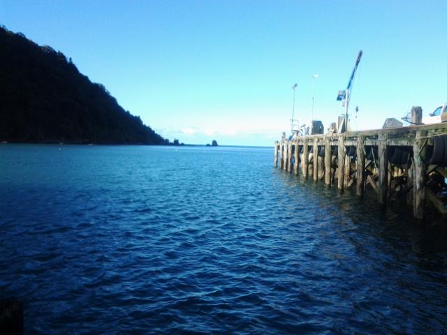 Jacksons Bay Wharf. | West Coast New Zealand History