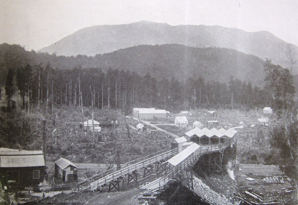 Seddonville Bins.ca.1893-1914. | West Coast New Zealand History