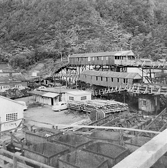 Dobson mine.ca.1965. | West Coast New Zealand History