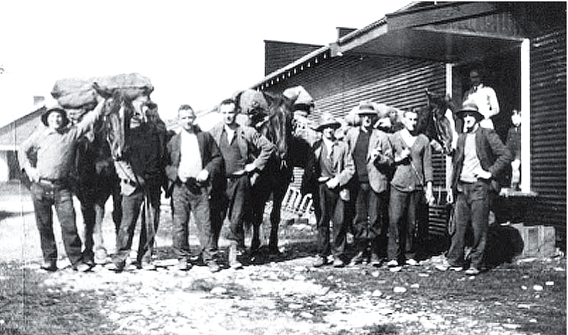 Group standing with packhorses, outside Haisty's Store, Blackball, 1940 ...