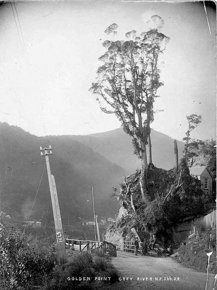 Boyd’s Creek at Wallsend. | West Coast New Zealand History