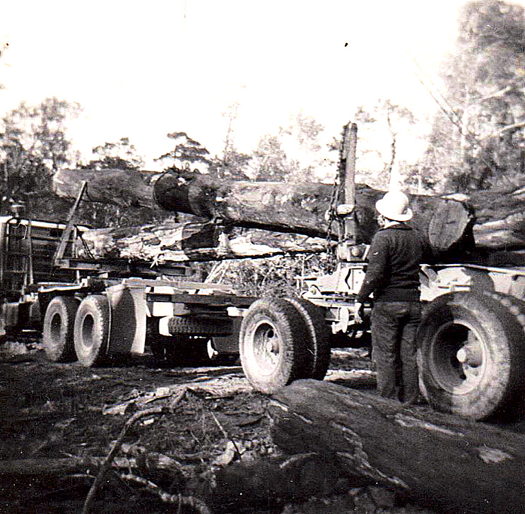 Suttons pulling and loading logs up at New Creek, Inangahua Junction ...