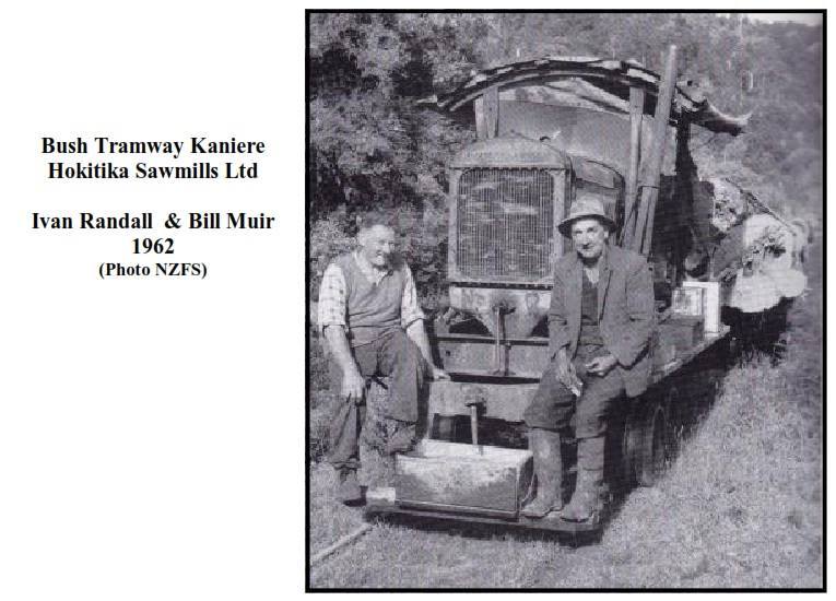 New Zealand Forest Service | West Coast New Zealand History