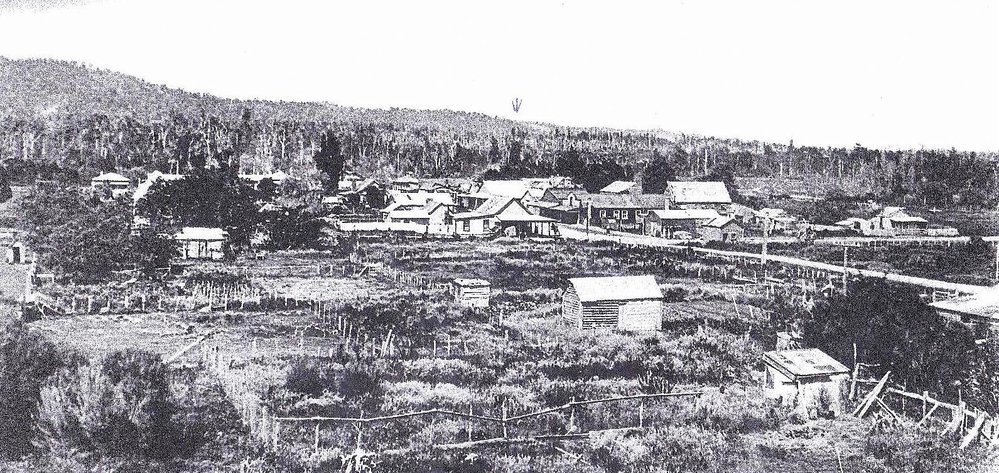 Ahaura, with Cresseys Butcher shop in middle of photograph. | West ...