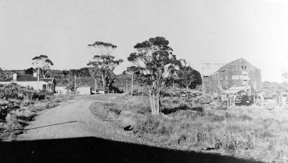 Halcyon Street , Charleston,1959... and map of Charleston. -2 IMAGES ...