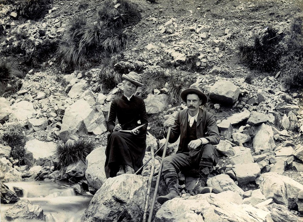 Mrs Westland and Guy Mannering, Craigieburn Range.1893. | West Coast ...