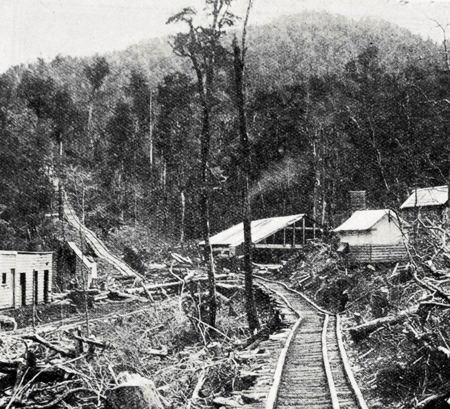 View Charming Creek, Seddonville. 1910. | West Coast New Zealand History